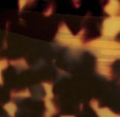 Dark Tortoise Shell Hair Clips | Made in France | Paris Mode